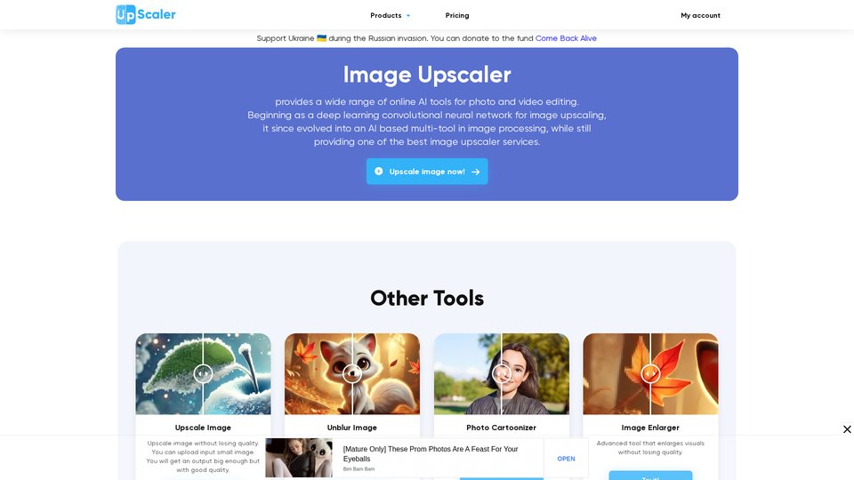 Image Upscaler - AI로 사진을 무료로 확대하세요
